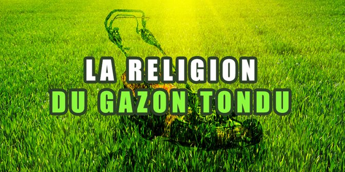 La religion du gazon tondu | Le 4ème singe
